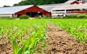 Ord USDA Service Center GovDelivery Bulletin