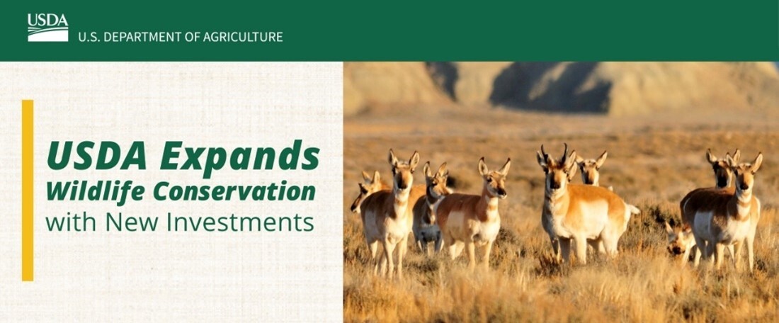 USDA Expands Wildlife Conservation with New Investments in Working ...