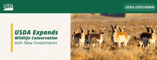 USDA FPAC Hawaii and Pacific Basin July Newsletter