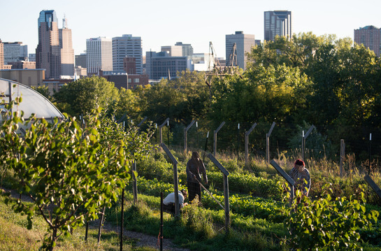 News & Updates from the Iowa Farm Service Agency