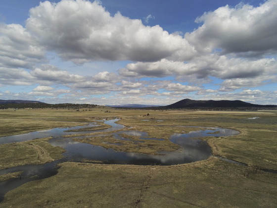 A Klamath Basin Working Lands Conservation Success