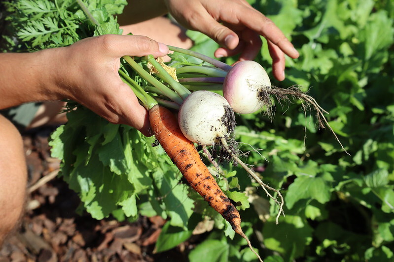 San Luis Obispo USDA Service Center Newsletter - September