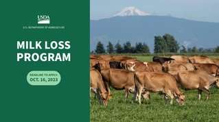 USDA Announces Milk Loss Assistance for Dairy Operations Impacted by ...