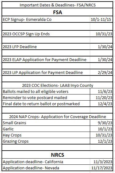 Yerington USDA Updates