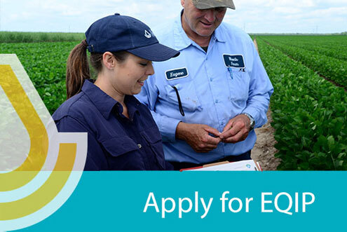 NRCS Texas Weekly Announcements