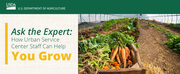 Ask the Expert: How Urban Service Center Staff Can Help You Grow