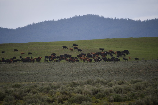 REMINDER: Webinar-Accounting for the Value of Ecosystem Services of ...