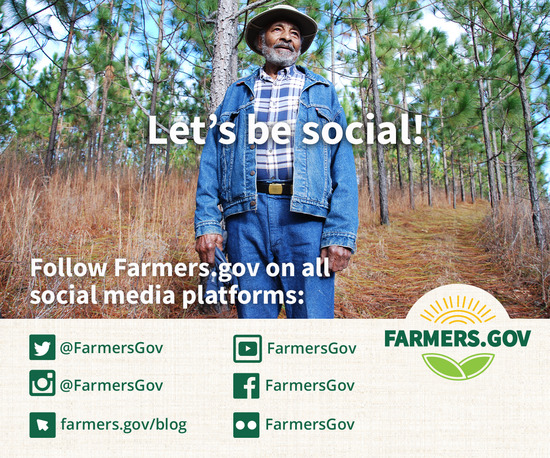 Minnesota FSA Newsletter: January Updates