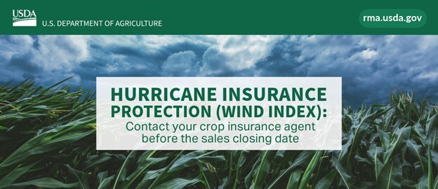 USDA’s Risk Management Agency Reminds Producers of Hurricane Insurance ...