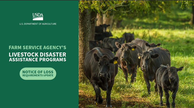 Feb. 29 Deadline for Livestock Indemnity Program