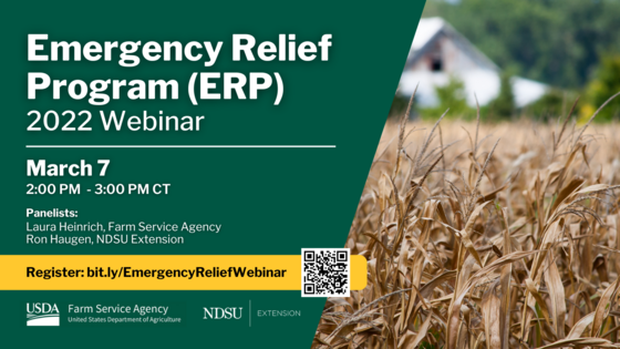 Join us Thursday for a Webinar on ERP!