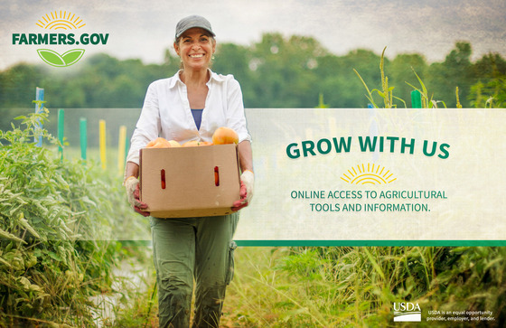 Minnesota FSA Newsletter: March Updates