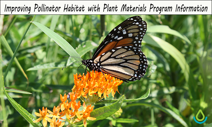 Improving Pollinator Habitat with Plant Materials Program Information