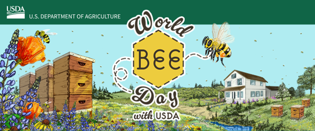 Bee in the Know on World Bee Day – May 20