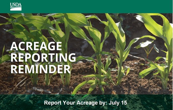 Washington State FSA - Newsletter