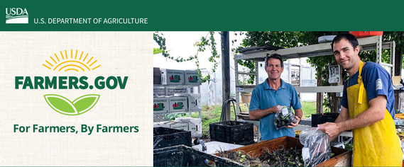 Fridays on the Farm: Planting Urban Roots in South Carolina