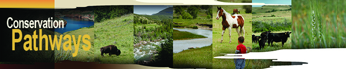 August 2024 NRCS Conservation Pathways Newsletter