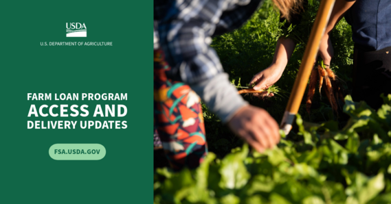 Minnesota FSA Newsletter: August Updates