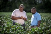 Acreage Reporting and COC Elections
