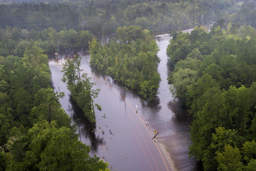 USDA Offers Disaster Assistance Available for Hurricane Helene Recovery