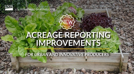 USDA Makes Acreage Reporting Improvements to Allow Flexibility for ...