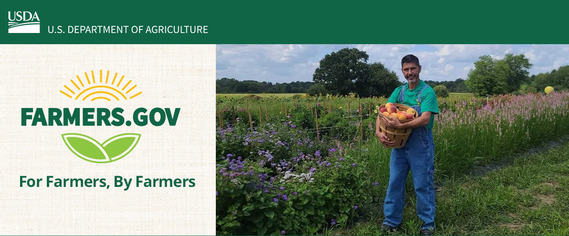 Fridays on the Farm: Growing Sustainability and Fall Fun in Massachusetts