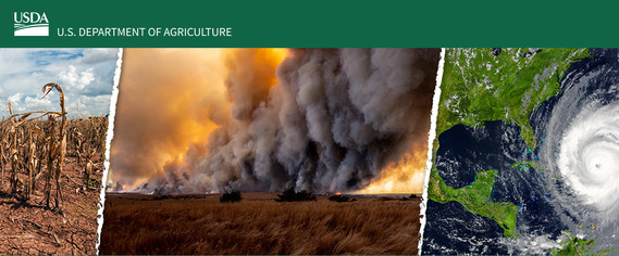USDA to Issue More than $235 Million to Farmers Hit by Natural ...