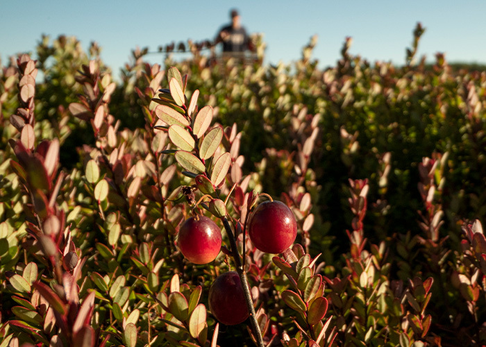 Connecting Farmers with Conservation and Community through NRCS Partnership