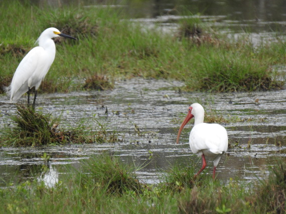 NRCS Florida News - Novemer 7, 2024