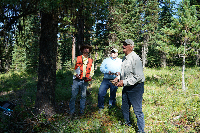 NRCS Montana Success Story: Preserving a Family Forest