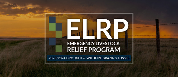 Delaware County FSA News - June 6, 2025