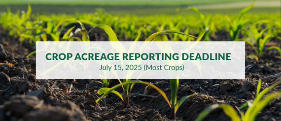 USDA Reminds Producers to File Crop Acreage Reports