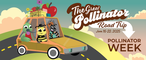 Buckle up, Pollinator Week is here!