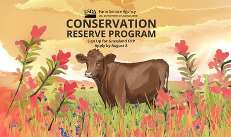 Producers and Landowners Can Now Enroll in USDA's Grassland ...