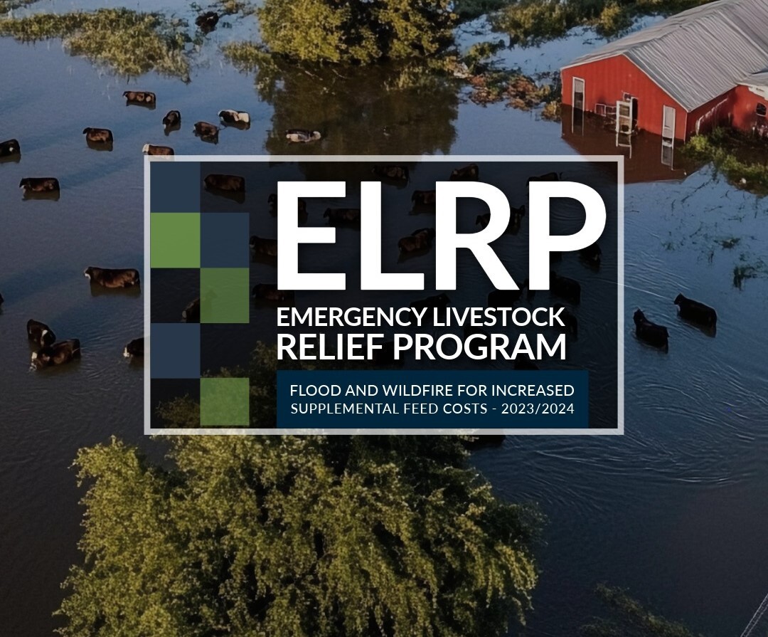 FSA National Outreach & Education Update - September 2025