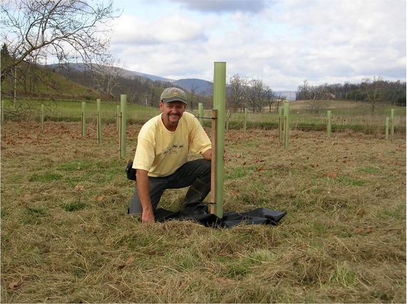 Riparian Buffers Guard Streams, Provides Healthy Waterways for People ...
