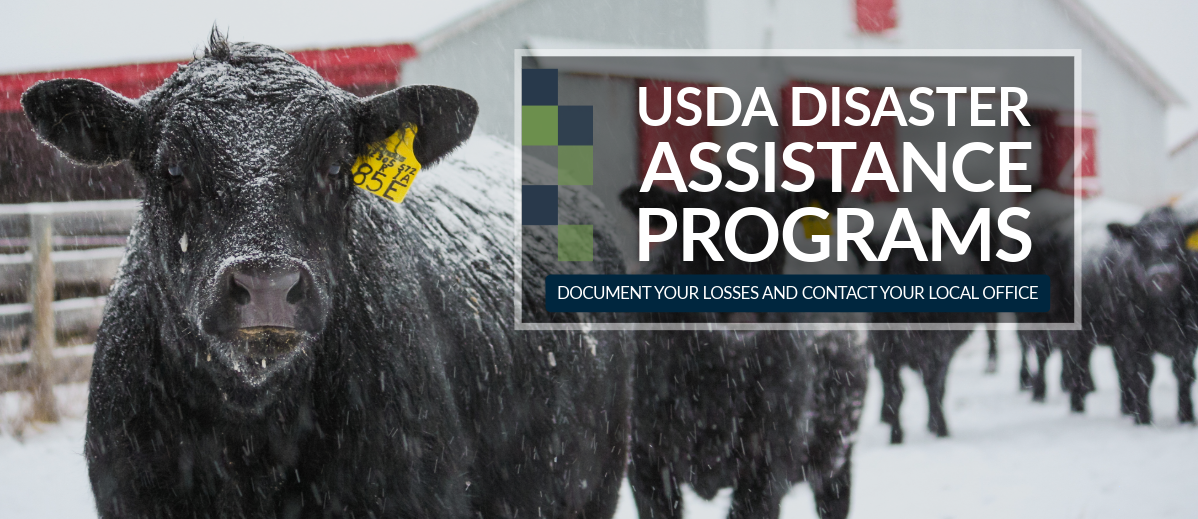 USDA Helps Producers Recover from Severe Winter Weather