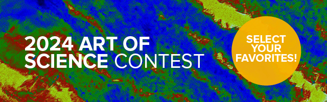 Initial Voting Open: 2024 Art of Science Contest