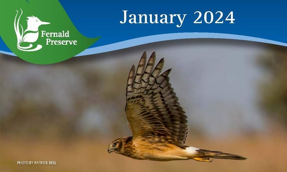 Fernald Preserve January Month-At-A-Glance