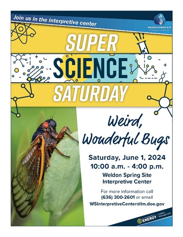 Super Science Saturday – Weird, Wonderful Bugs