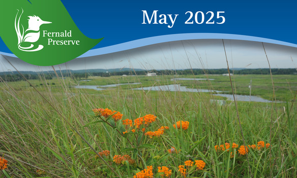 Fernald Preserve May Month-At-A-Glance
