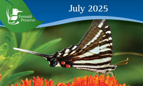 Fernald Preserve July Month-At-A-Glance