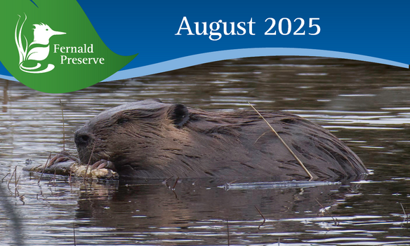 Fernald Preserve August Month-At-A-Glance