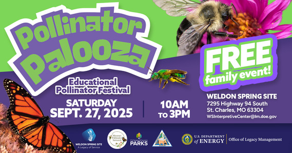 Weldon Spring Site - “Bee” a Part of the Buzz at Pollinator Palooza 2025