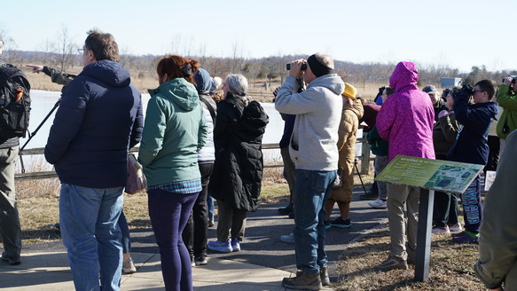 Fernald Preserve Winter Bird Fest