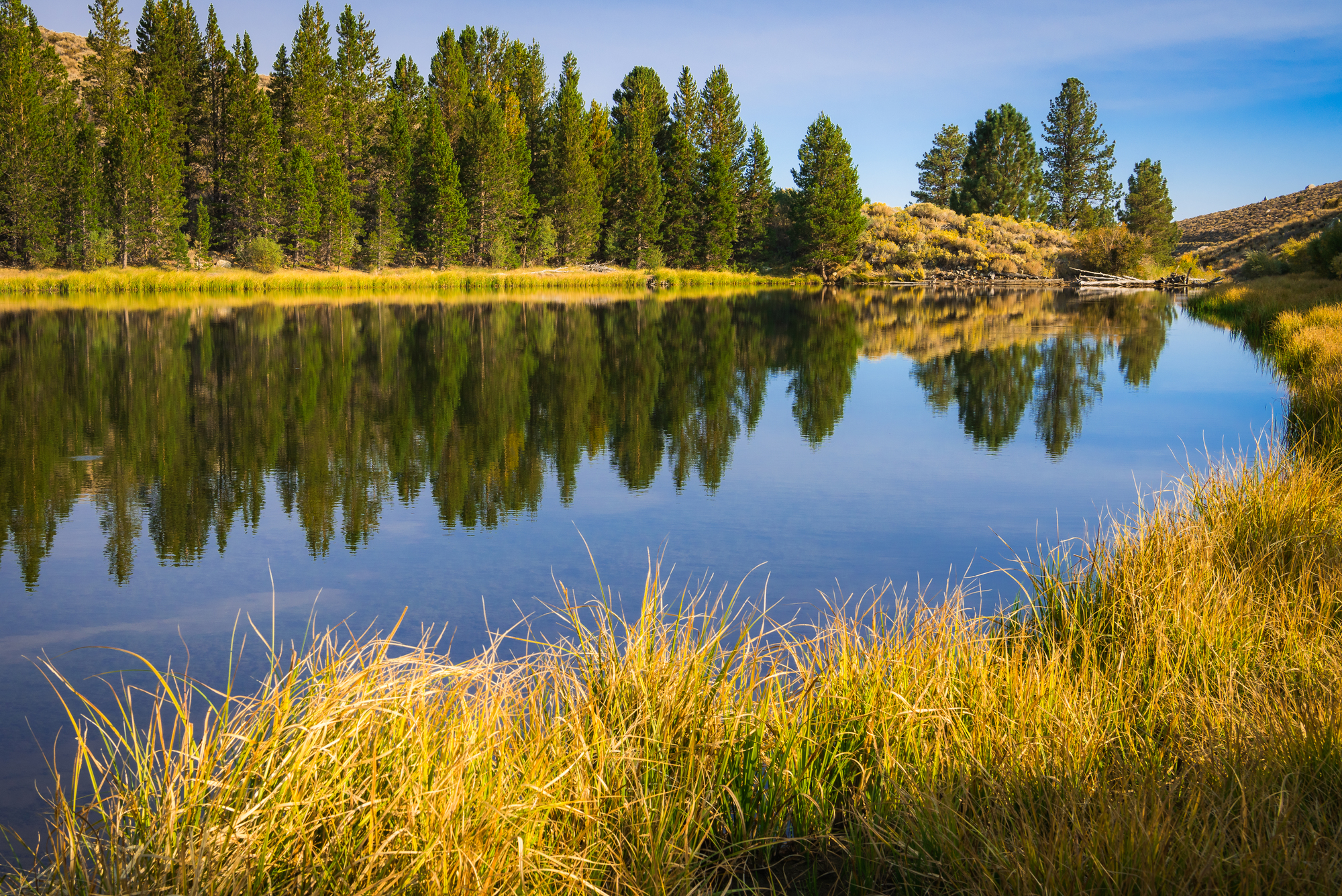 BLM California News.Bytes Issue 923