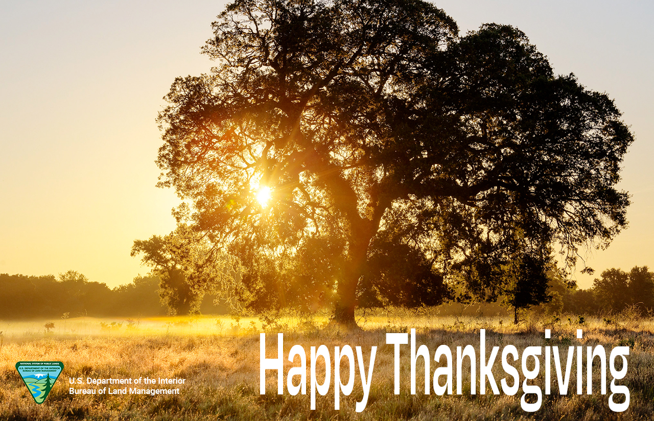 BLM California News.Bytes Special Holiday Edition