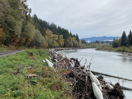 FHWA's Innovation Exchange Webinar: Engineered Log Jams June 20, 2024