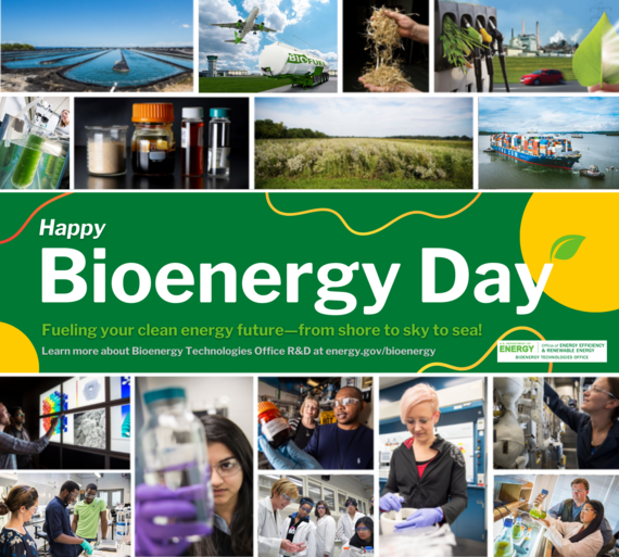 BETO Celebrates Bioenergy Year-Round!