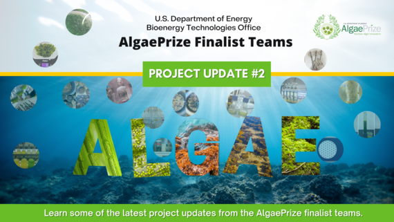 Countdown to Competition! 15 AlgaePrize Team Finalists Make Advances in Research